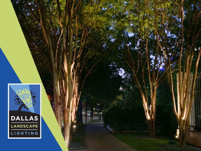 Tree Lighting Installation Installation | Free Estimate