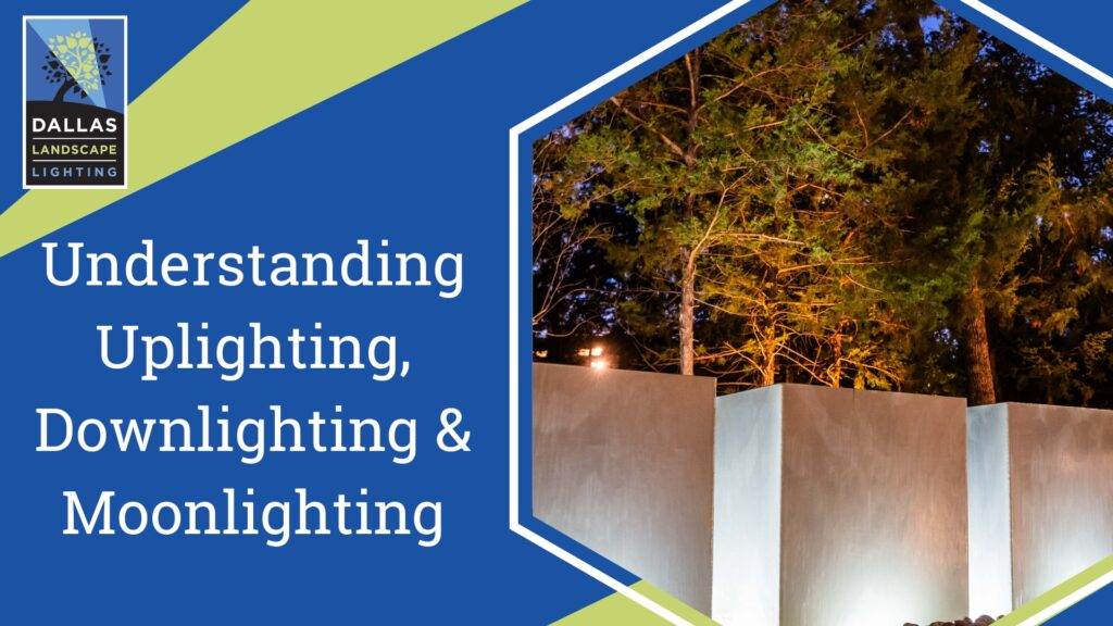 Uplighting vs. Downlighting vs. Moonlighting for Backyards
