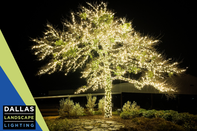 Wrapped Tree Lighting with Dallas Landscape Lighting